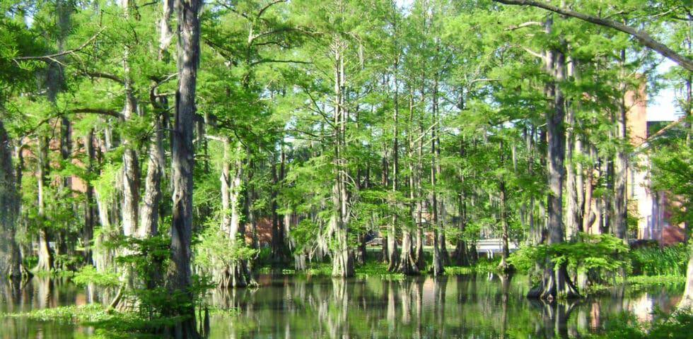 Exploring the Charms of Slidell, Louisiana: A Hidden Gem Near Lake ...